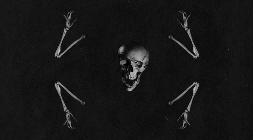 Day Of The Dead Dancing GIF by Peter Bjorn and John - Find & Share on GIPHY