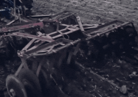 Pepperidge Farm Remembers GIFs - Get the best GIF on GIPHY