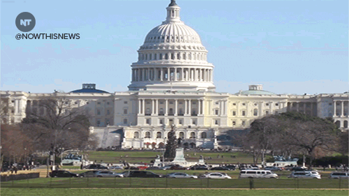 Election2014 GIFs - Get the best GIF on GIPHY