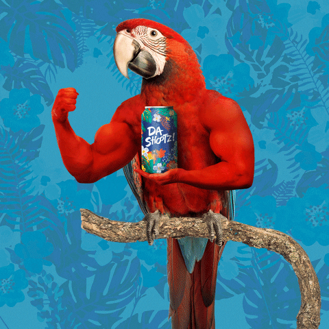 Pair It With Fun GIFs - Get the best GIF on GIPHY