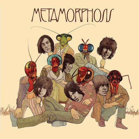 The Rolling Stones Metamorphosis GIF by uDiscoverMusic - Find & Share ...