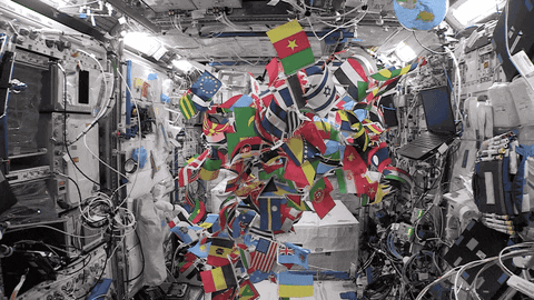 Jumble GIFs - Get the best GIF on GIPHY