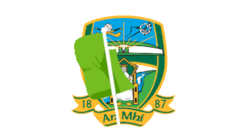 GAA Match Day GIFs on GIPHY - Be Animated