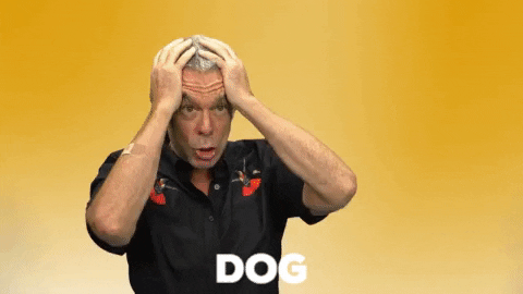 Jake-the-producer GIFs - Get the best GIF on GIPHY