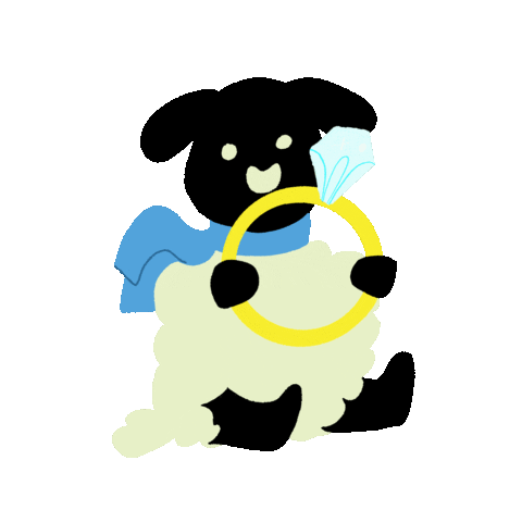 University College Dublin GIFs on GIPHY - Be Animated