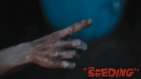 The Seeding GIFs on GIPHY - Be Animated