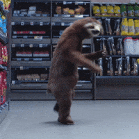 Sloth Gifs