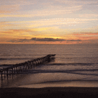 Good-memory GIFs - Get the best GIF on GIPHY