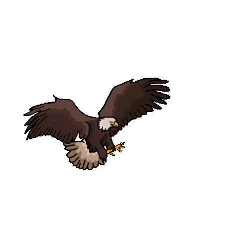 Eagle Transparent Gif