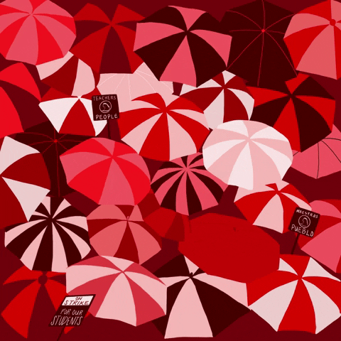 Red GIF - Find & Share on GIPHY