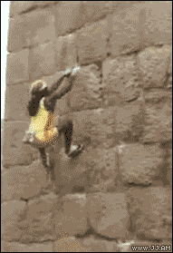 Wall-hax GIFs - Get the best GIF on GIPHY