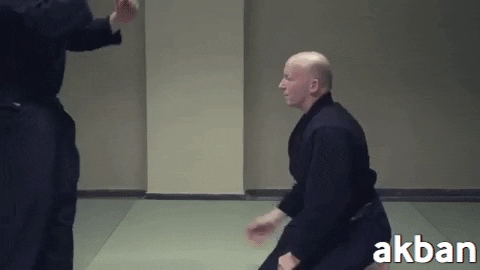 Martial Art Ninjutsu GIF by AKBAN Academy - Find & Share on GIPHY