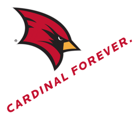 Commencement GIFs - Find & Share on GIPHY