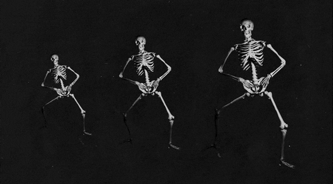 Day Of The Dead Dancing GIF by Peter Bjorn and John - Find & Share on GIPHY