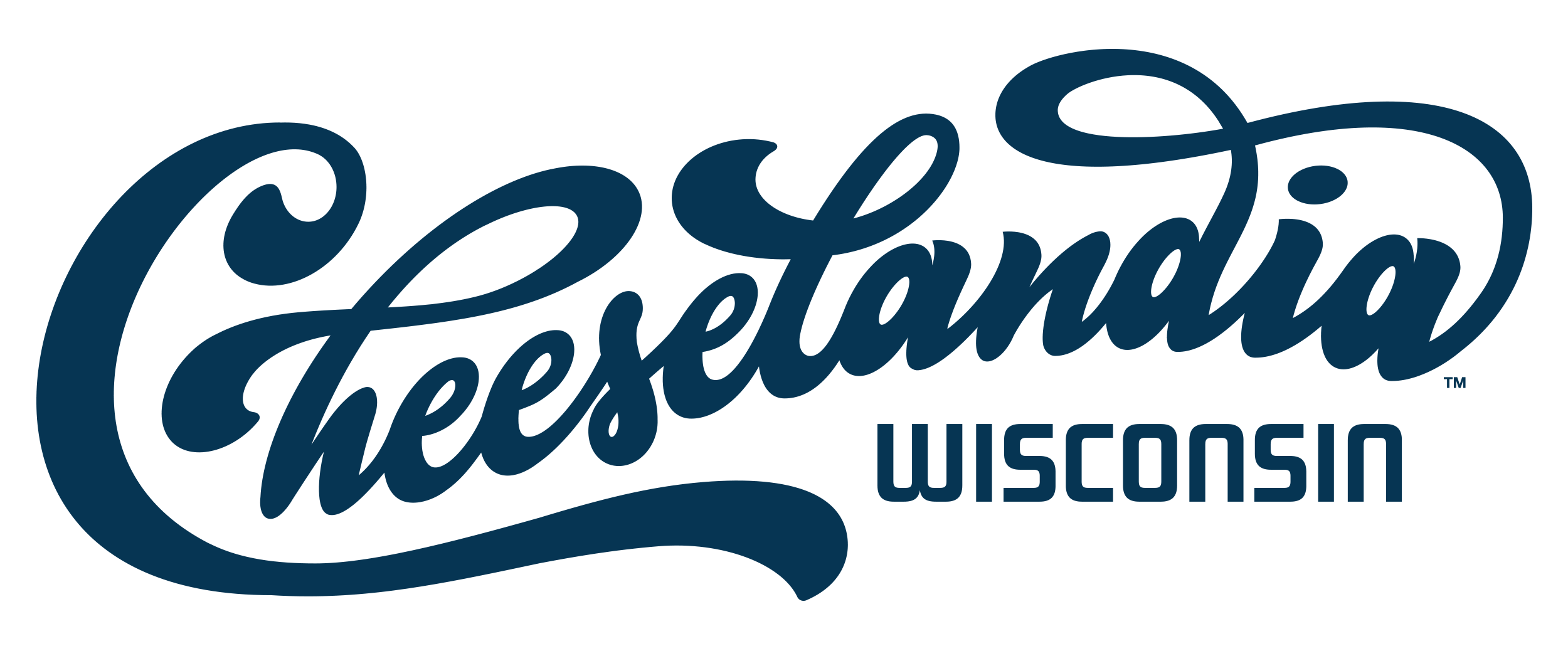 Wisconsin Cheese Sticker by Cheeselandia for iOS & Android | GIPHY
