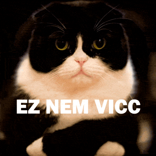 Vicc GIFs - Get the best GIF on GIPHY
