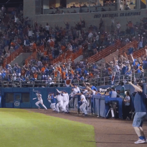 Excited Excitement GIF by Florida Gators - Find & Share on GIPHY