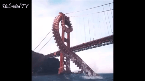Kmt GIFs - Get the best GIF on GIPHY