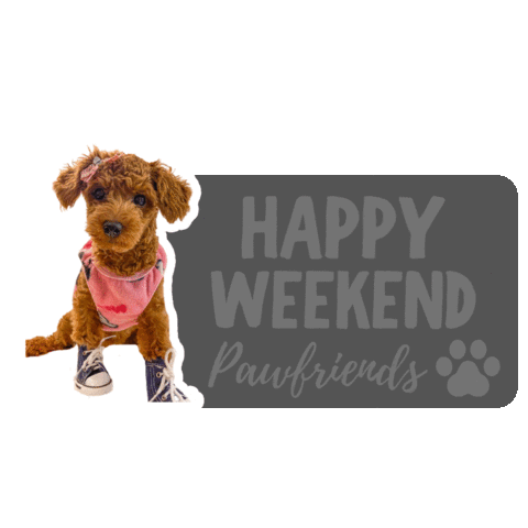 Happy Weekend Dog