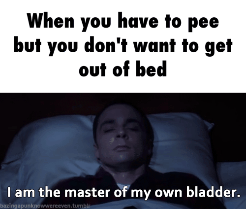 Want To Pee S Get The Best On Giphy