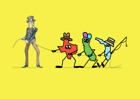 Tenth Amendment In Action