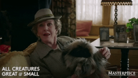 Cheer Yes GIF by MASTERPIECE | PBS - Find & Share on GIPHY