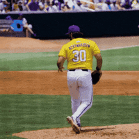 LSU Baseball GIFs on GIPHY - Be Animated