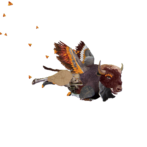 Buffalo Wings GIFs on GIPHY - Be Animated
