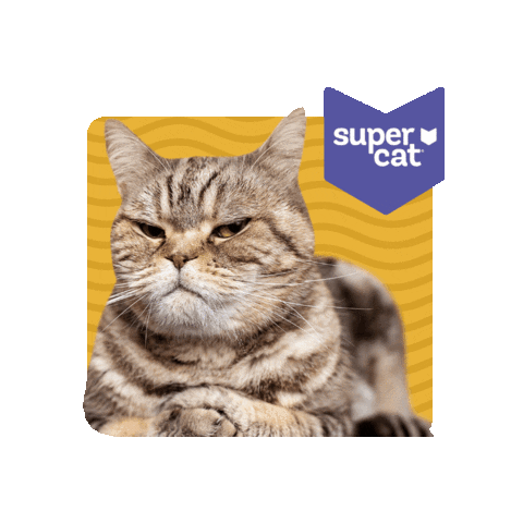 supercat_peru GIFs on GIPHY - Be Animated