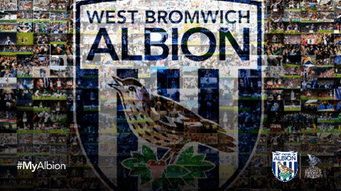 Albion GIFs - Get the best GIF on GIPHY