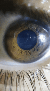 Dilated Pupils Gif