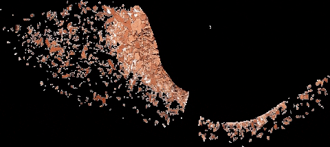 Cacao GIF by Chocolaterie de Puyricard - Find & Share on GIPHY