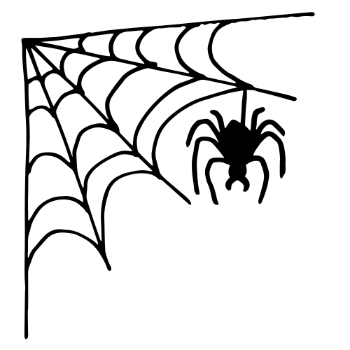 Spider Web Halloween Sticker by jdsports for iOS & Android | GIPHY