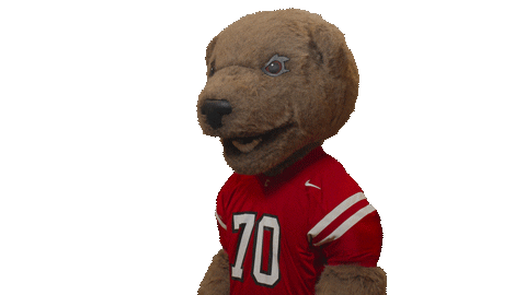 Cornell University Touchdown Sticker for iOS & Android | GIPHY