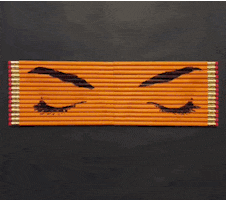 Blinking Eyes GIFs - Find & Share on GIPHY