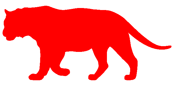 Coffee Rainbow Sticker by Equator Coffees for iOS & Android | GIPHY