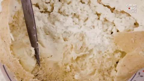 Casu Marzu Cheese GIF by Great Big Story - Find & Share on GIPHY