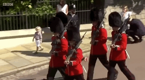 Royal Guards GIFs - Get the best GIF on GIPHY