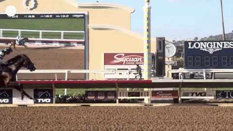 Breeders Cup Flightline GIF by World Horse Racing - Find & Share on GIPHY