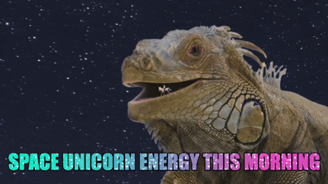 Space-lizard GIFs - Get the best GIF on GIPHY