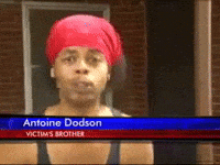 Hide-this GIFs - Get the best GIF on GIPHY