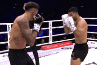 Knockout Gif