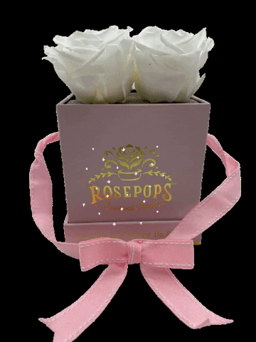 Preserved Roses GIFs - Get the best GIF on GIPHY