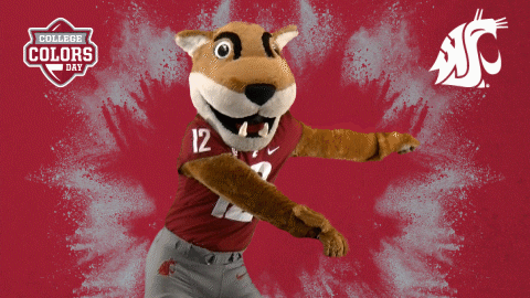 Washington State Mascot GIFs - Find & Share on GIPHY