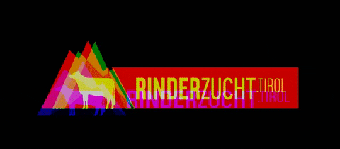 Rinderzucht Tirol GIF - Find & Share on GIPHY