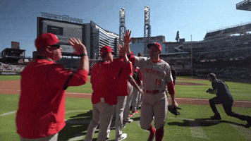 Cincinnati Reds GIFs on GIPHY - Be Animated
