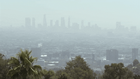 Smog GIFs - Get the best GIF on GIPHY