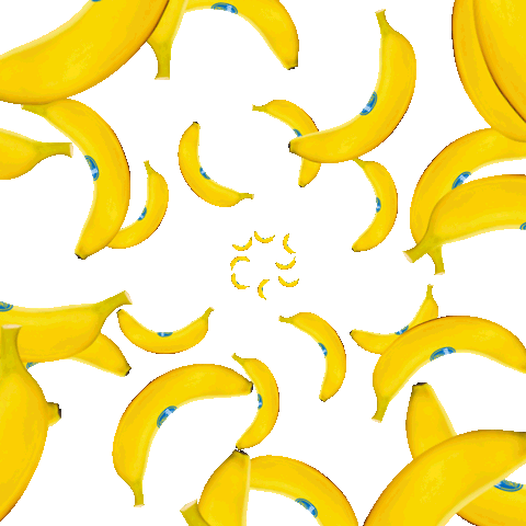 Fun Banana Sticker by Chiquita for iOS & Android | GIPHY