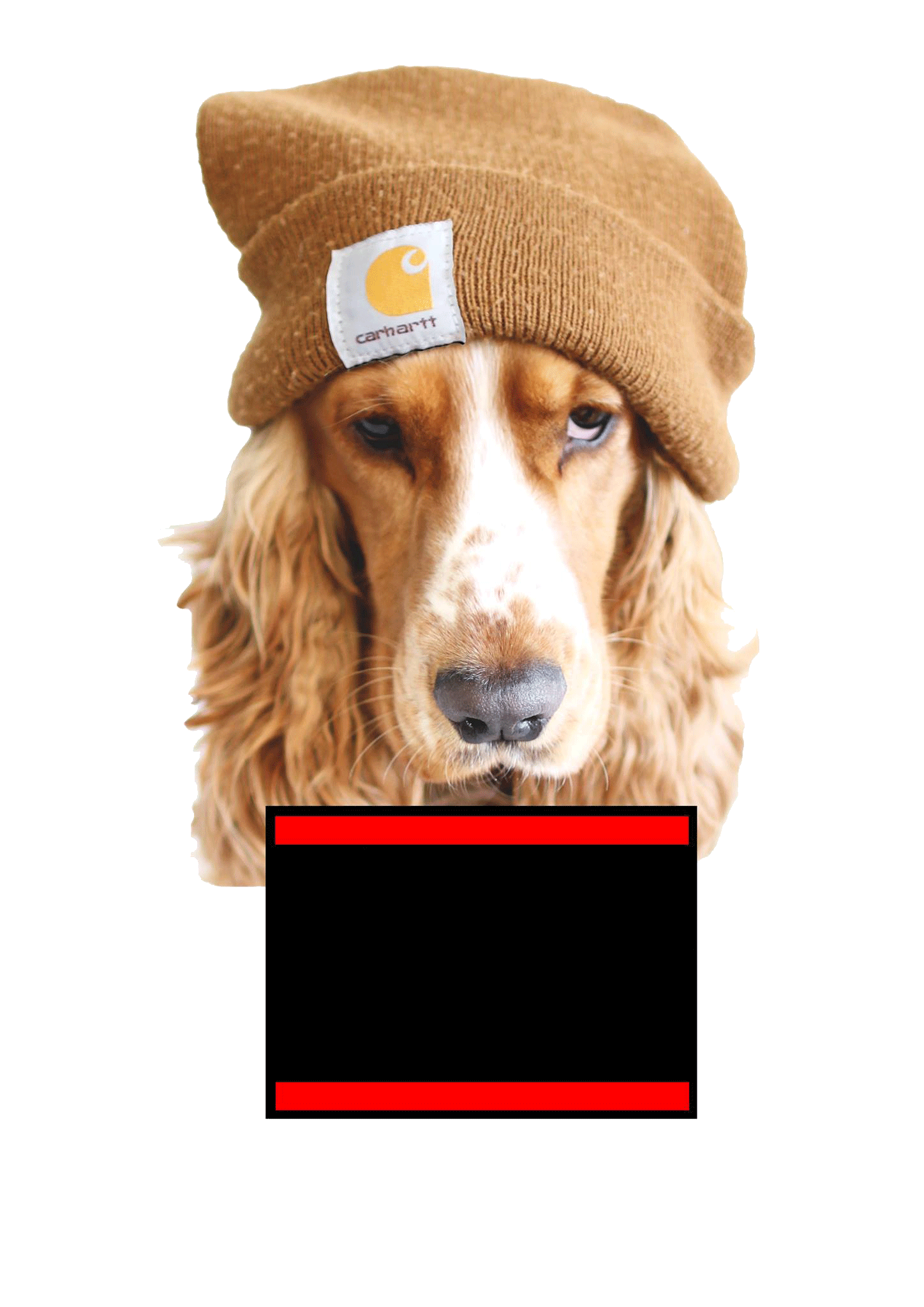 Dog Tnt Sticker by Tales&Tails for iOS & Android | GIPHY