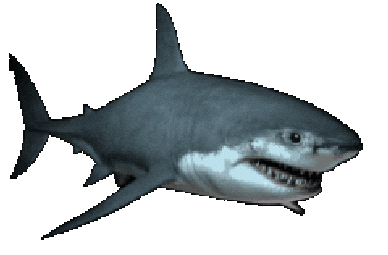 Transparent Shark Gif